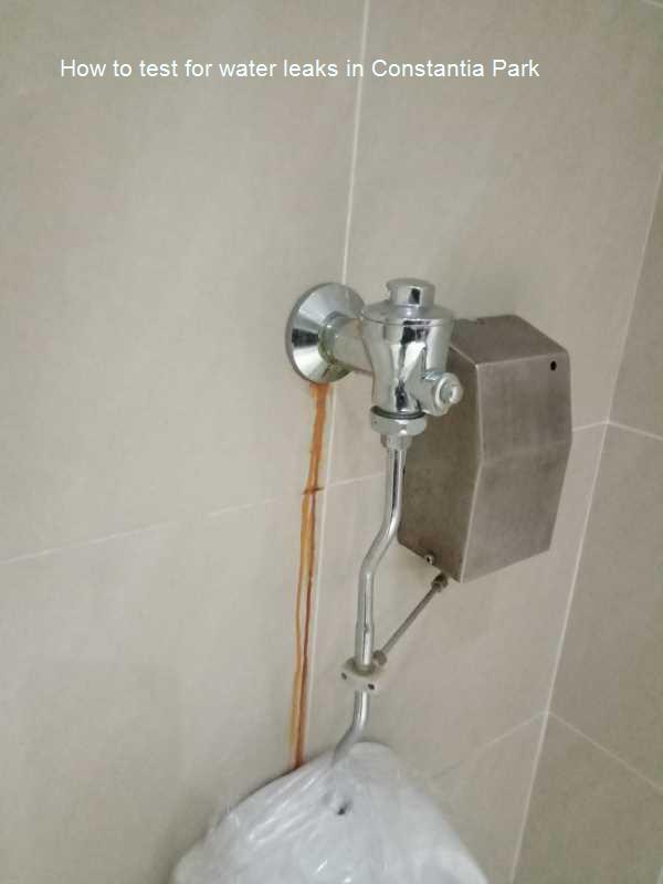 How to test for water leaks in Constantia Park