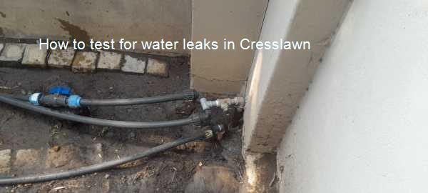 How to test for water leaks in Cresslawn