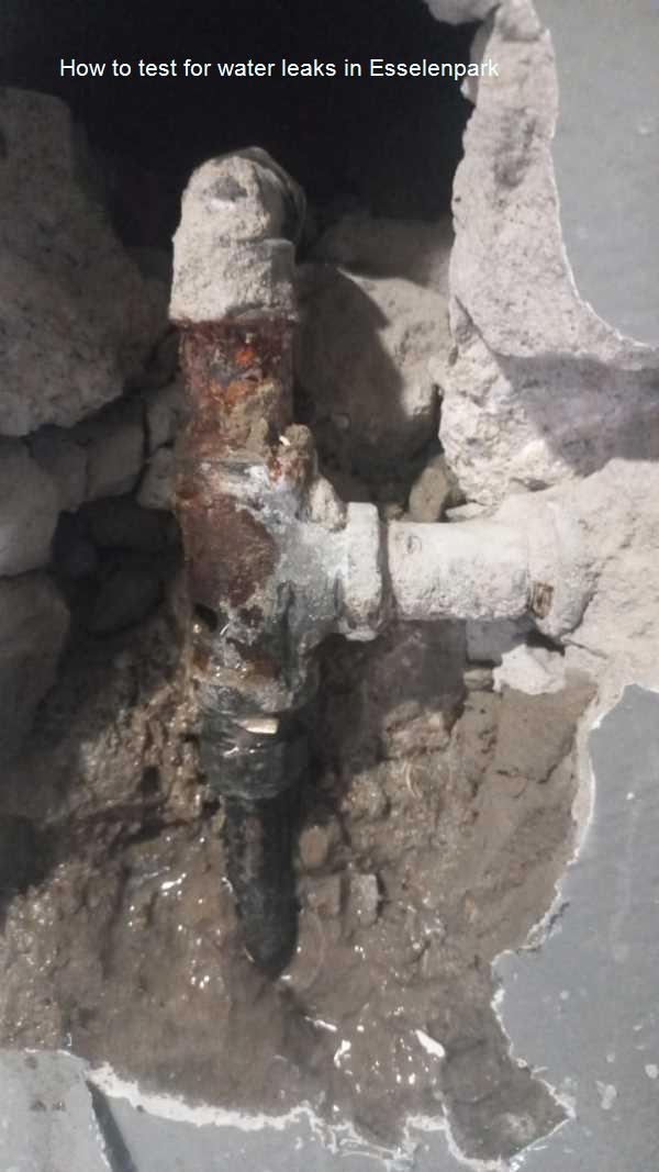 How to test for water leaks in Esselenpark