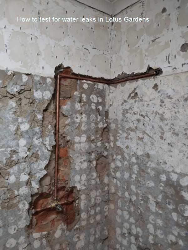 How to test for water leaks in Lotus Gardens