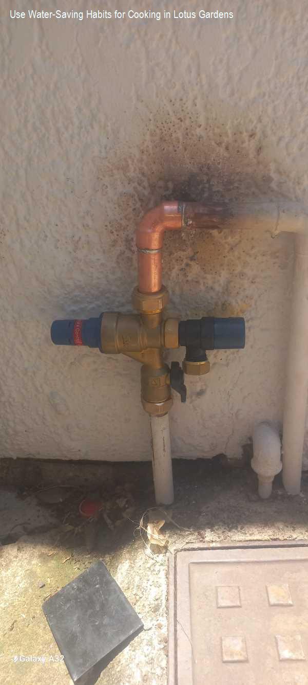 How do I reduce water usage to lower my bills in Lotus Gardens?